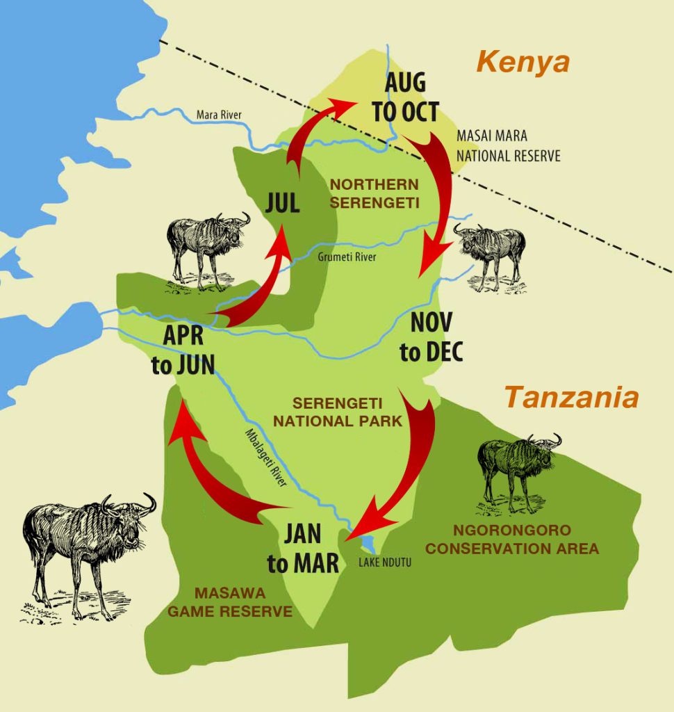 Best Time to Visit Tanzania | Safari, Kilimanjaro & Zanziba- African ...